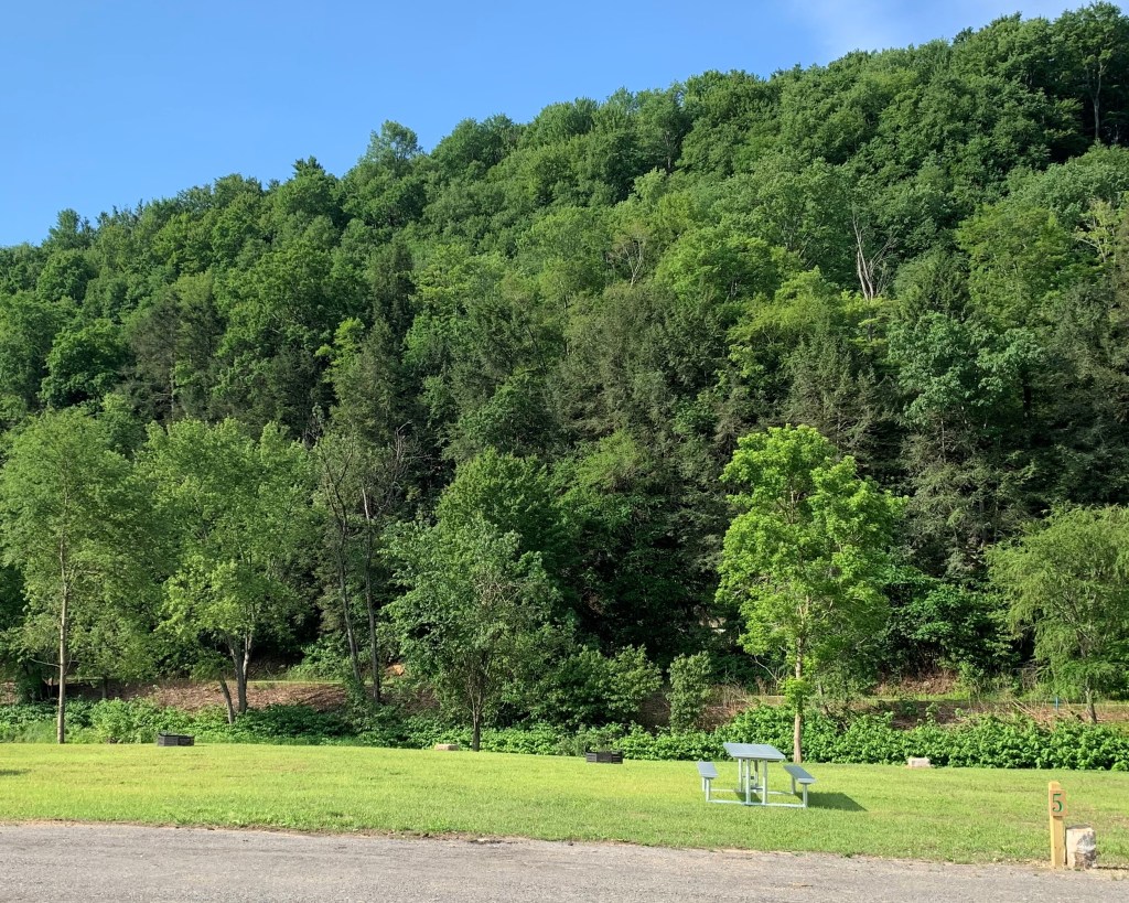 Campsite #5 - The Borough of Ridgway, Pennsylvania